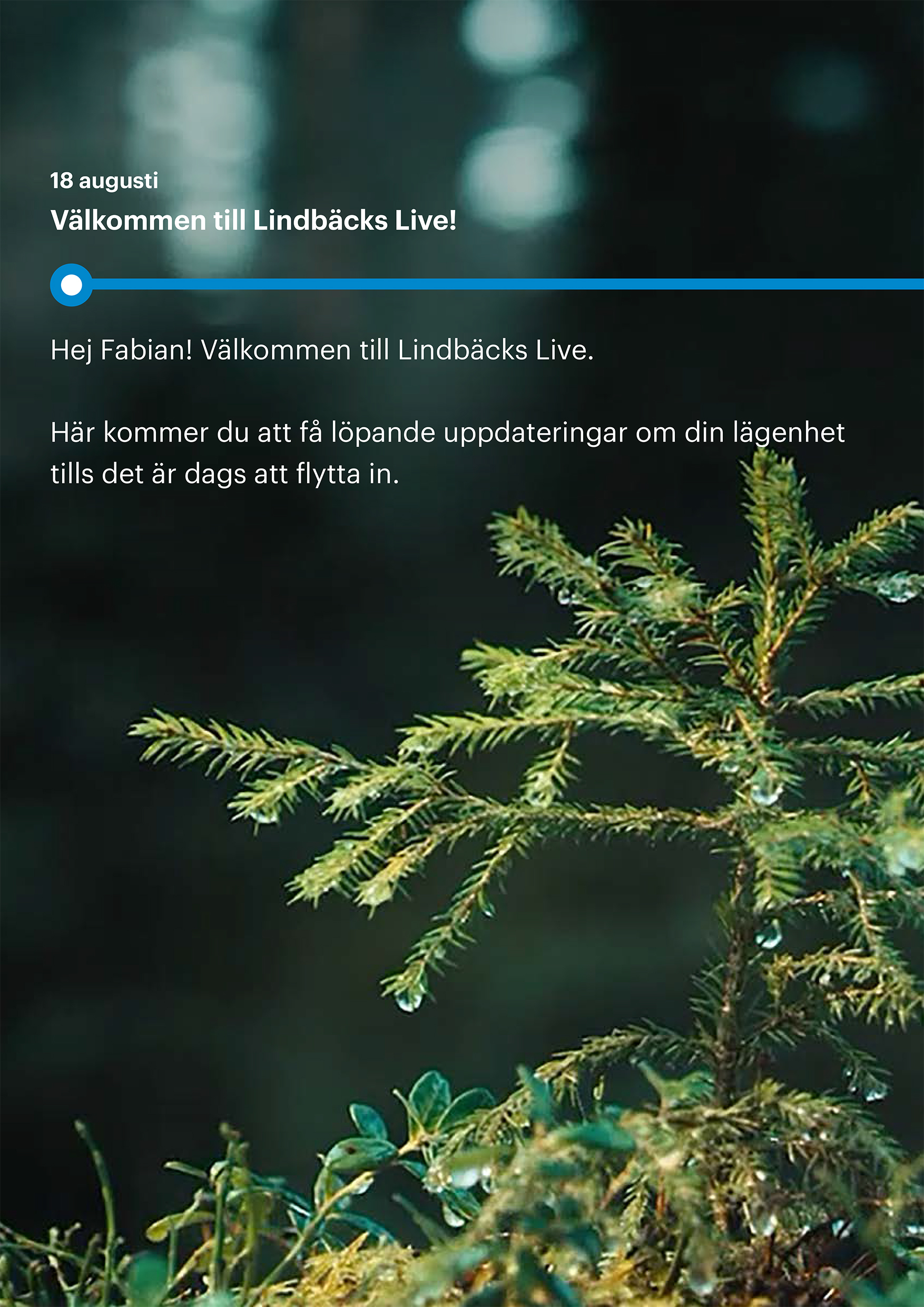 lindbackslive - Lindbäcks